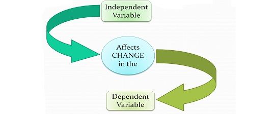 Difference Between Independent And Dependent Variable with Example And 