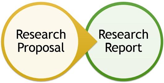 Examples Of Primary And Secondary Research Theses Pdf Or Doc Nature Risk Rising Why The Crisis 