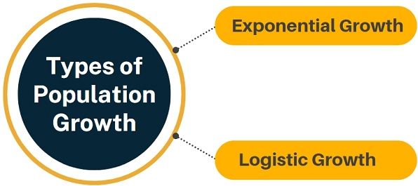 What Are The Types Of Population Growth Curves - Design Talk